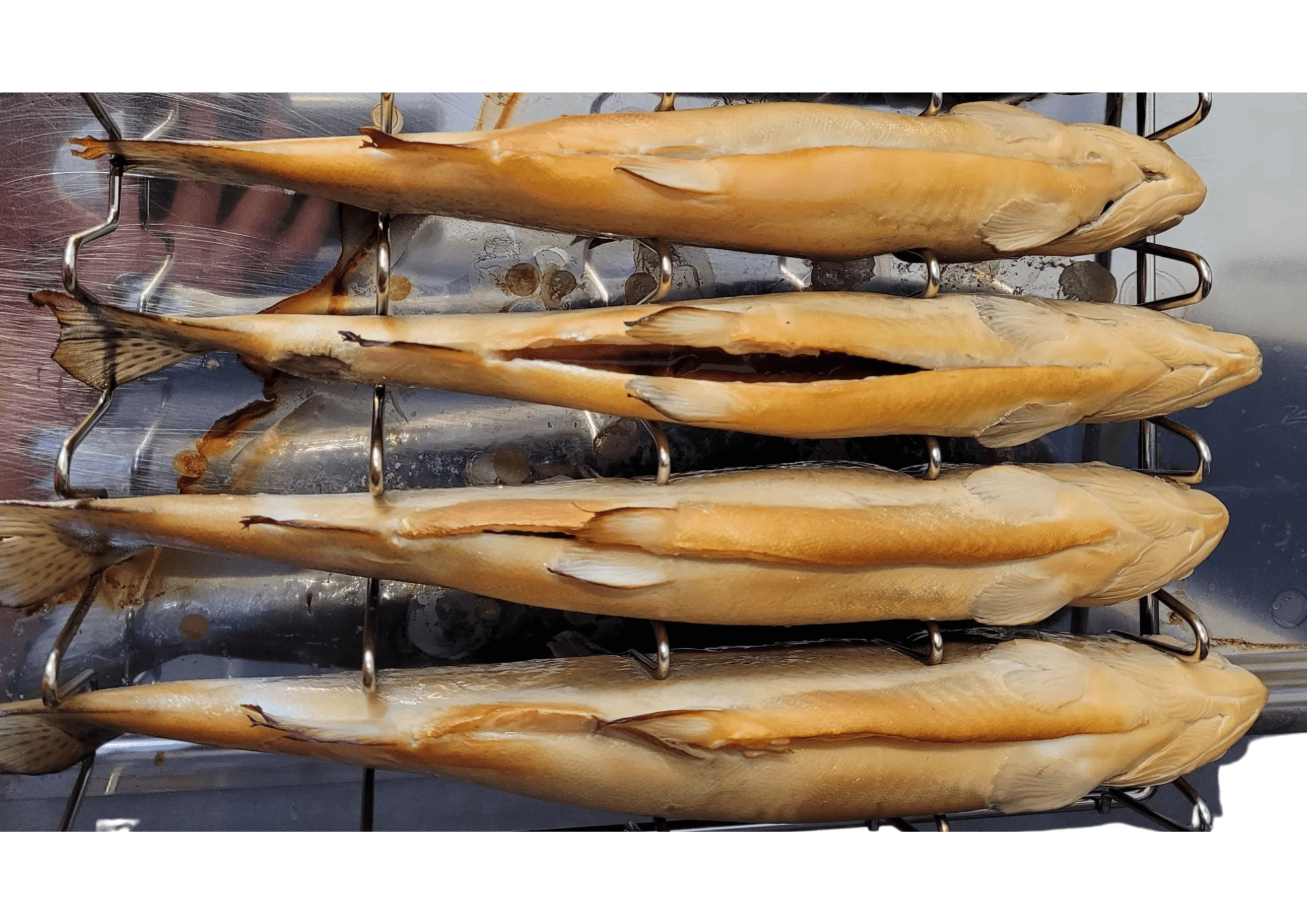 Truites saumonées vidées - 400 à 500g env.